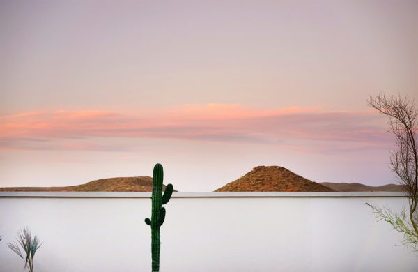 Baja California: The Land Of Contrasts