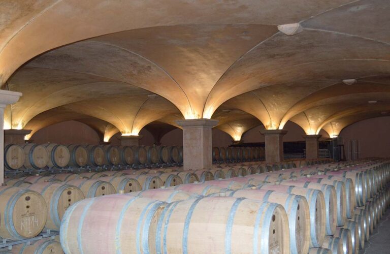 Sip, Savour, Repeat: Why Missing Penedès Is A Wine Lover's Biggest Regret